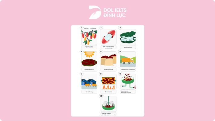 IELTS Writing Task 1 Process 09/01/2021 Chocolate production