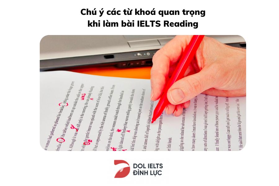 10+ Tips Tự Luyện IELTS Reading Hiệu Quả Cho Mọi Trình Độ