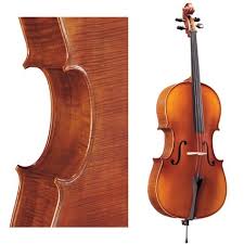 đàn cello Tiếng Anh là gì