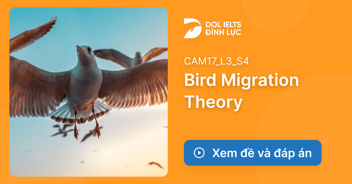 Bird Migration Theory IELTS Listening Answers With Audio, Transcript ...