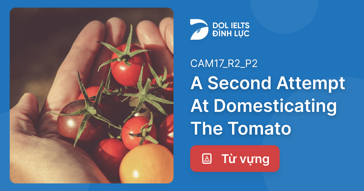 Từ Vựng Bài Đọc A Second Attempt At Domesticating The Tomato | IELTS ...