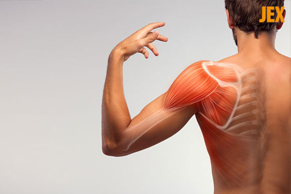 vai Tiếng Anh là gì