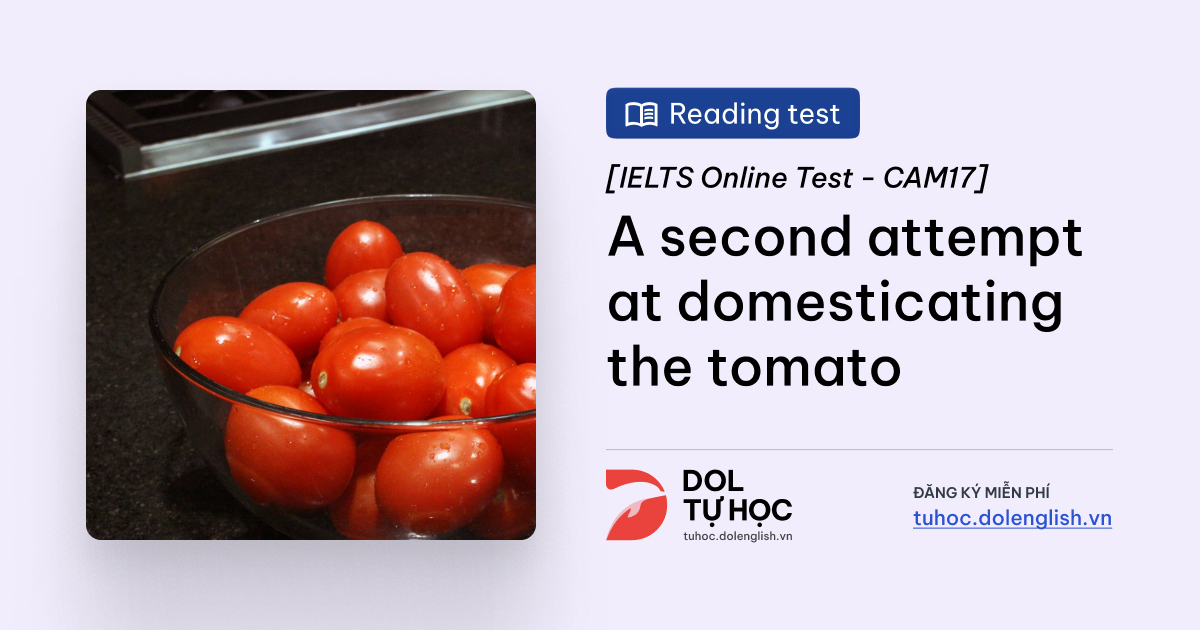 Từ Vựng Bài Đọc A Second Attempt At Domesticating The Tomato | IELTS ...