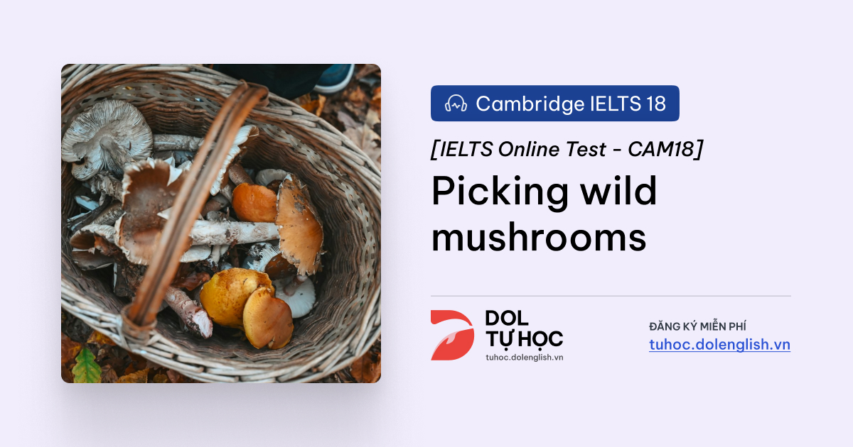 Picking Wild Mushrooms IELTS Listening Answers With Audio, Transcript ...