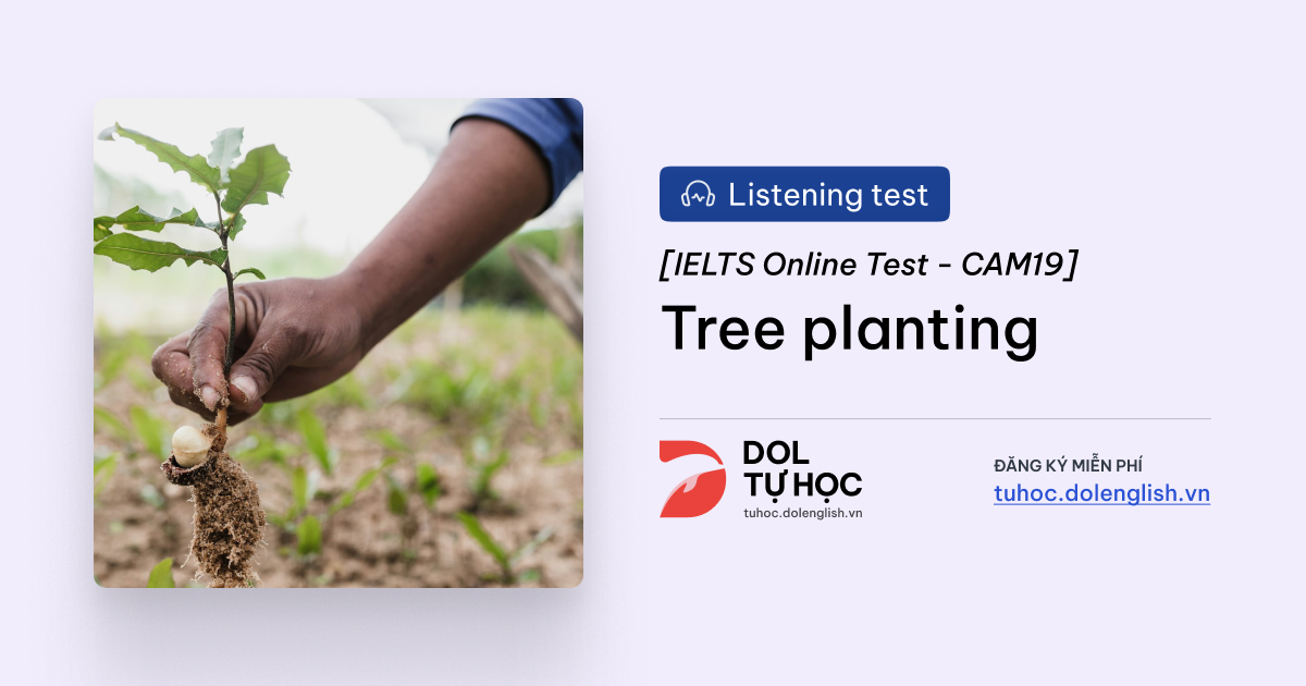 Tree planting IELTS Listening Answers With Audio, Transcript And ...