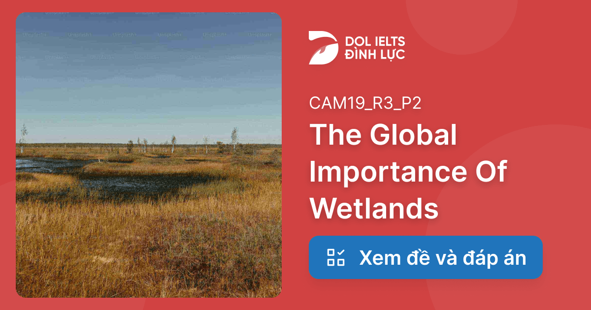 The Global Importance Of Wetlands IELTS Reading Answers with ...