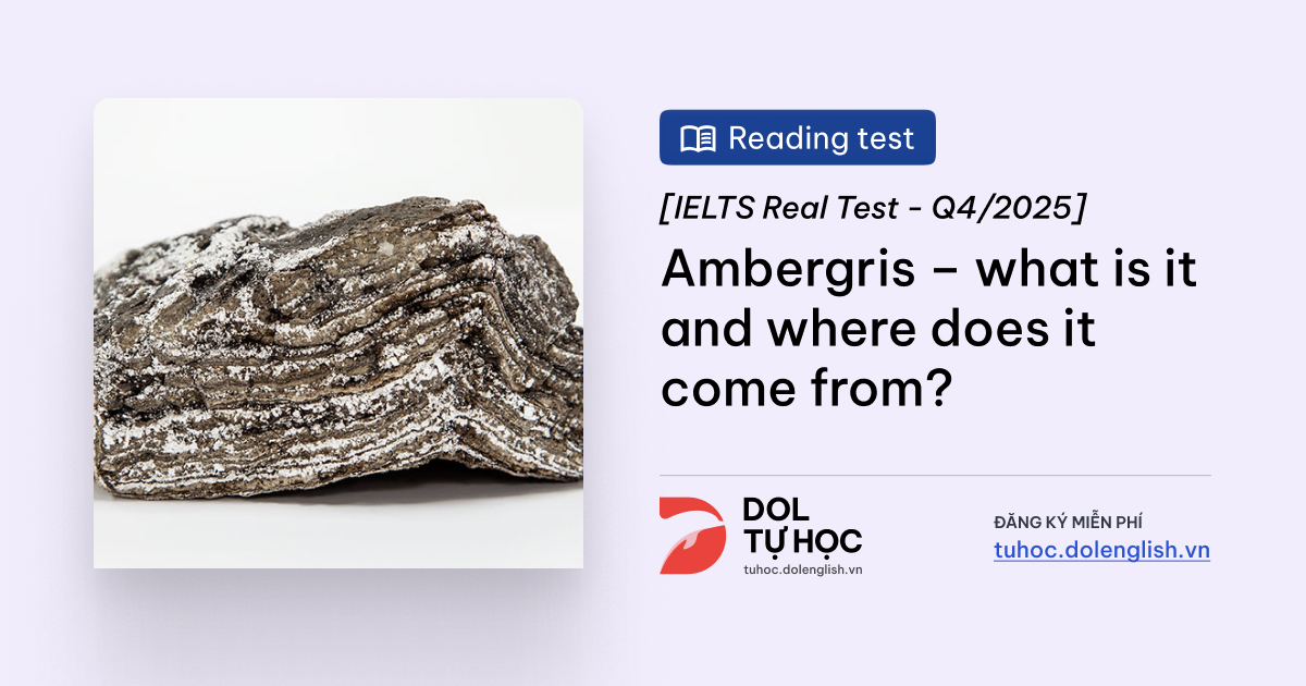 Ambergris – what is it and where does it come from?
