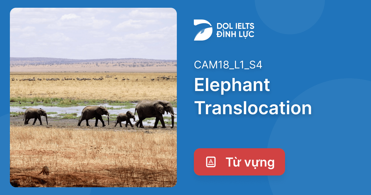 Từ Vựng Bài Nghe Elephant translocation | IELTS Listening Practice ...