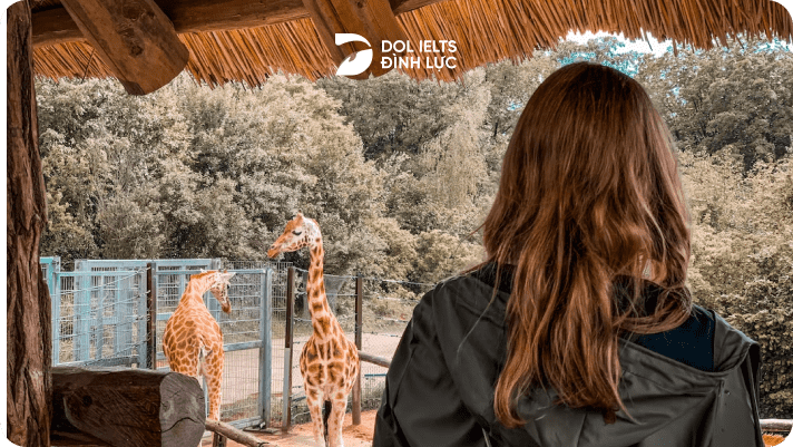 IELTS Speaking Part 1 Topic Animals - DOL Academy