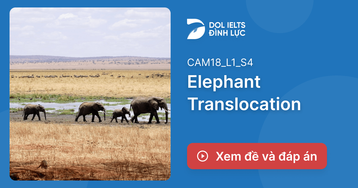 Elephant Translocation IELTS Listening Answers With Audio, Transcript ...