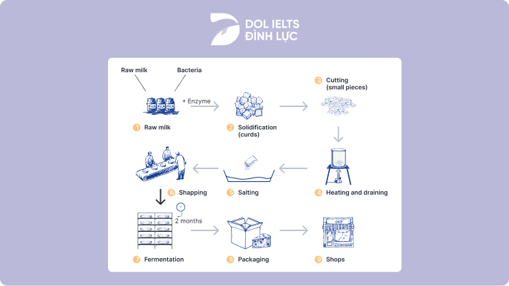 The diagram below shows the process of making soft cheese