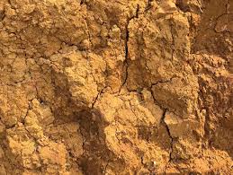 Đất feralit Tiếng Anh là gì