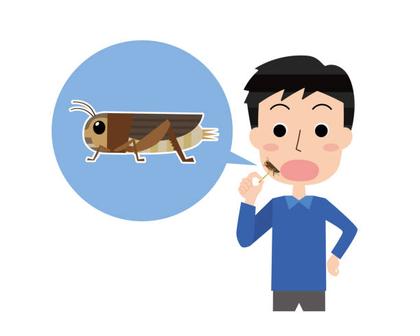 NGHE CHÉP CHÍNH TẢ - Should we eat bugs? - Emma Bryce | DOL Academy