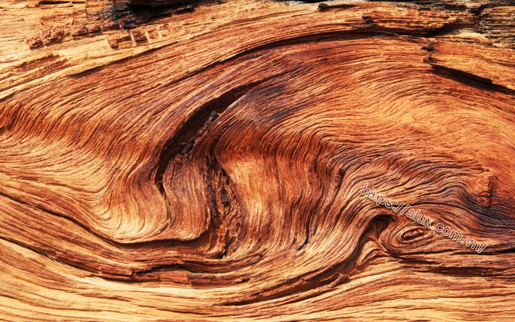 Vân gỗ Tiếng Anh là gì